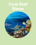 Coral Reef Biome