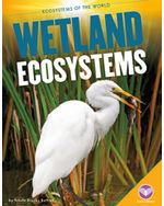 Wetland Ecosystems