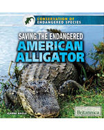 Saving the Endangered American Alligator