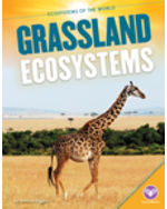 Grassland Ecosystems