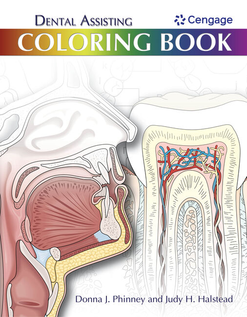 dental anatomy coloring book margaret