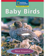 Windows on Literacy Emergent (Science: Life Science): Baby Birds