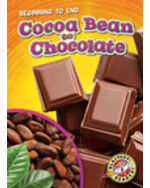 Cocoa Bean to Chocolate