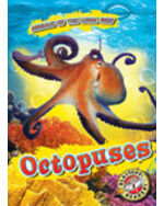 Octopuses