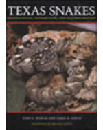 Texas Snakes