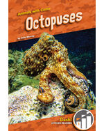 Octopuses