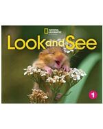 Look and See 1 with the Spark platform