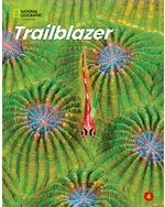 Trailblazer 4 with the Spark platform