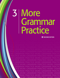 More Grammar Practice 3