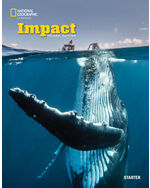 Impact Starter with the Spark platform